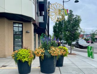 Bottom Watering Planters- Urbanscape Popular Planters.